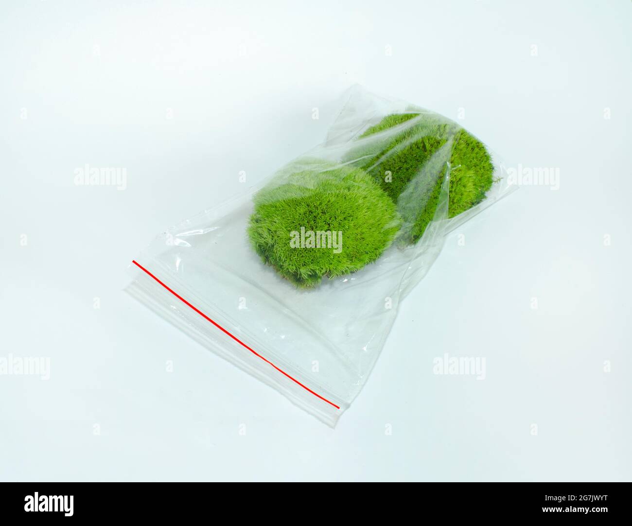 decorative moss in plastic bag isolated on white background. green ...