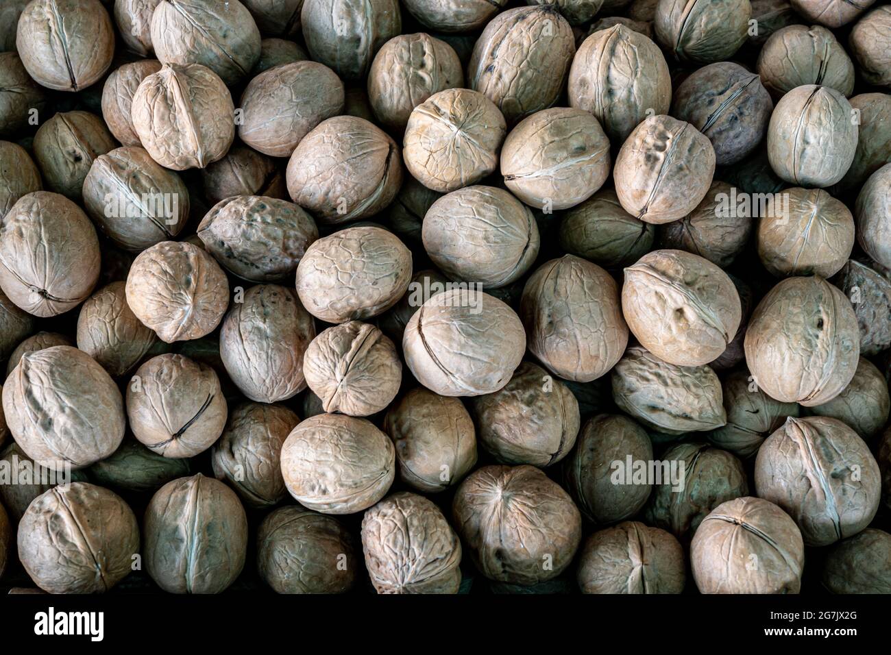 Market copy hi-res stock photography and images - Alamy