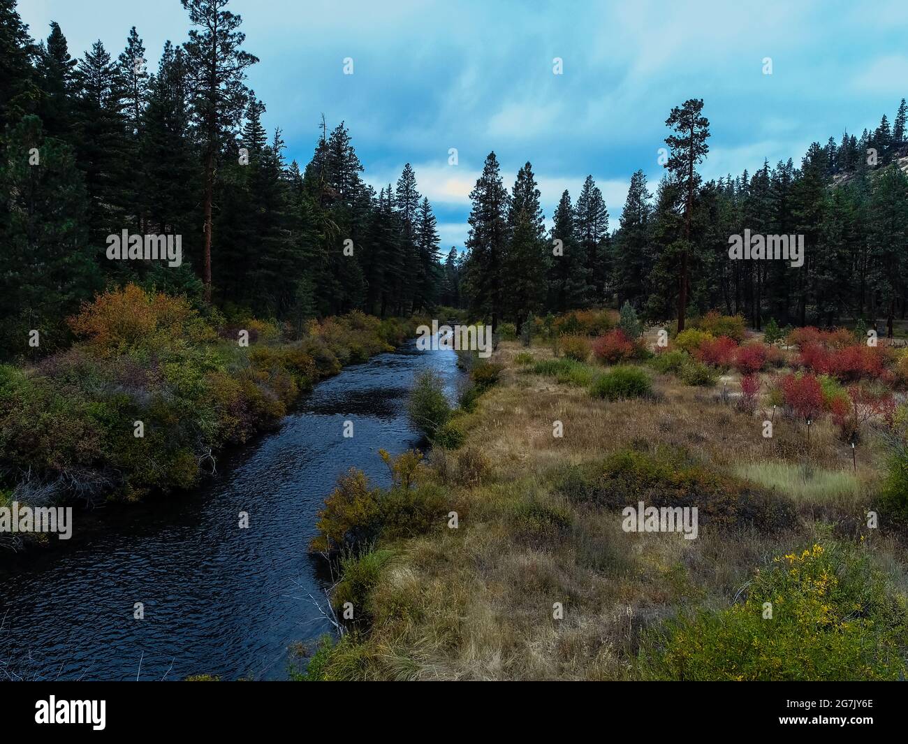 Aerial view green oregon forest hi-res stock photography and images - Alamy