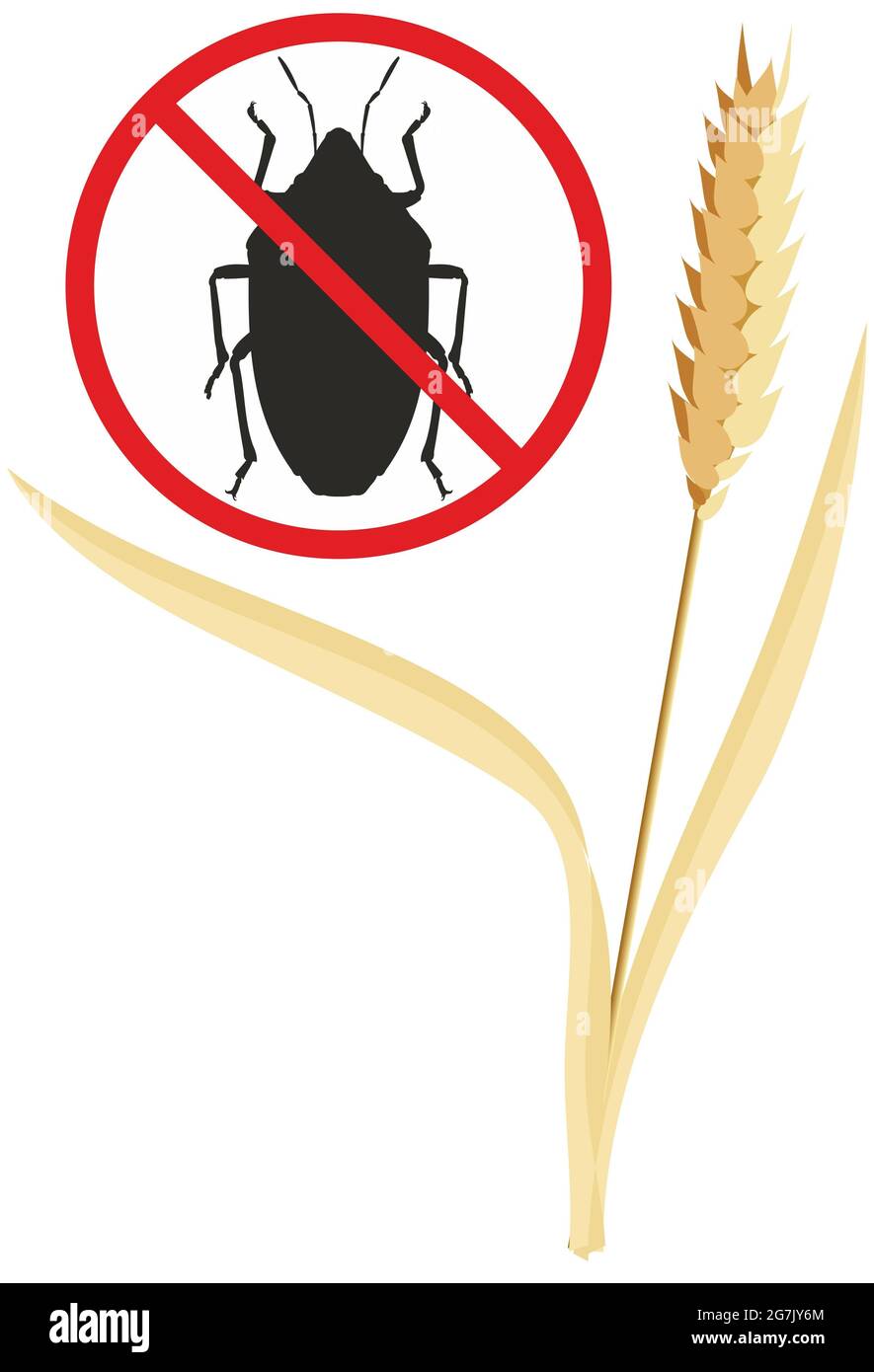 Disinsection hi-res stock photography and images - Alamy