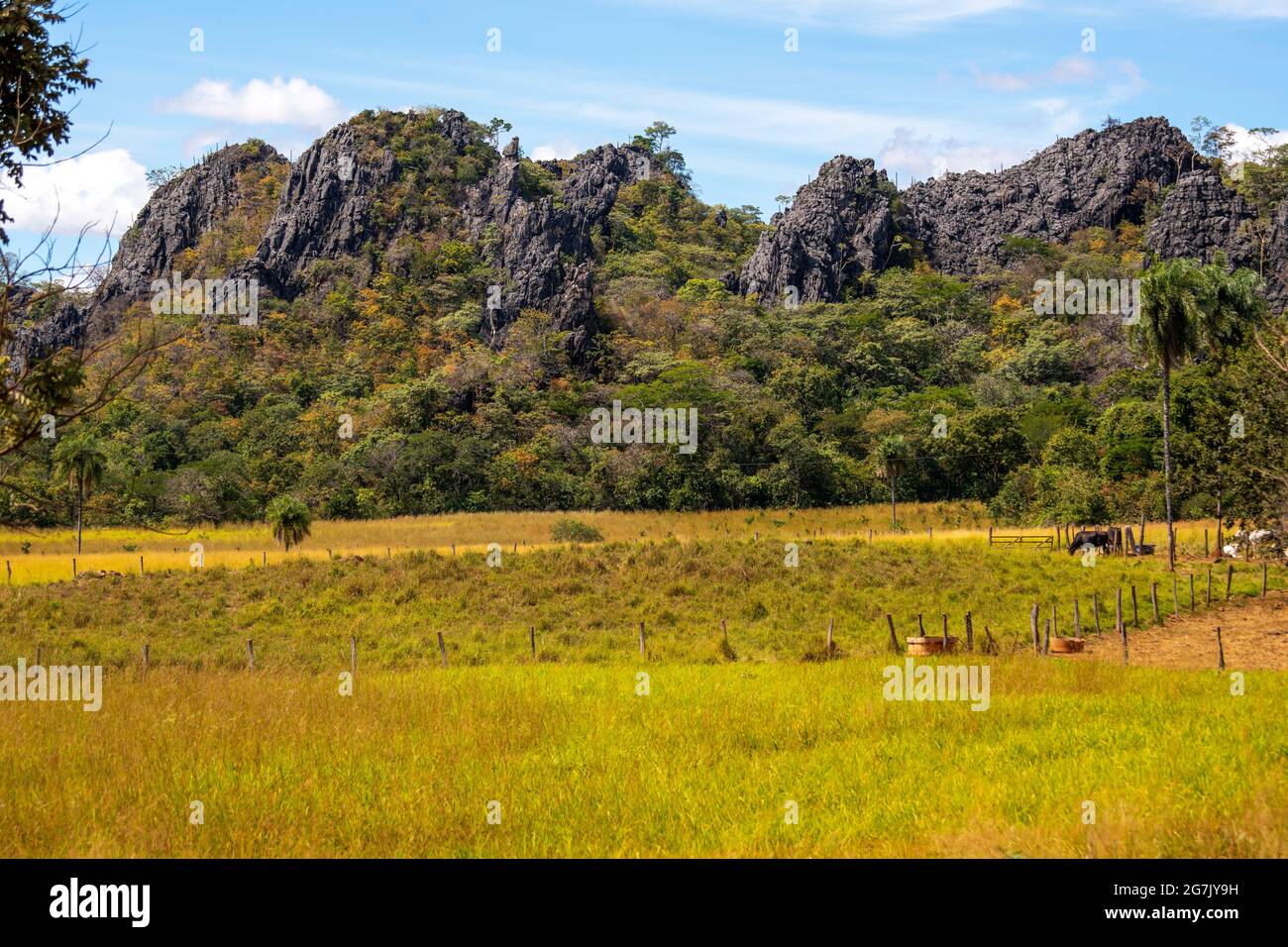 Brazil formation hi-res stock photography and images - Alamy