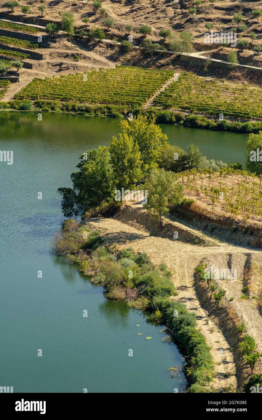 River next to paddy field terraces under sunlight Stock Photo - Alamy