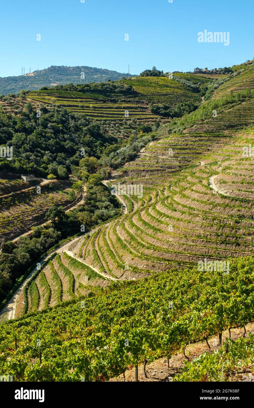 Tarro vertical hi-res stock photography and images - Alamy