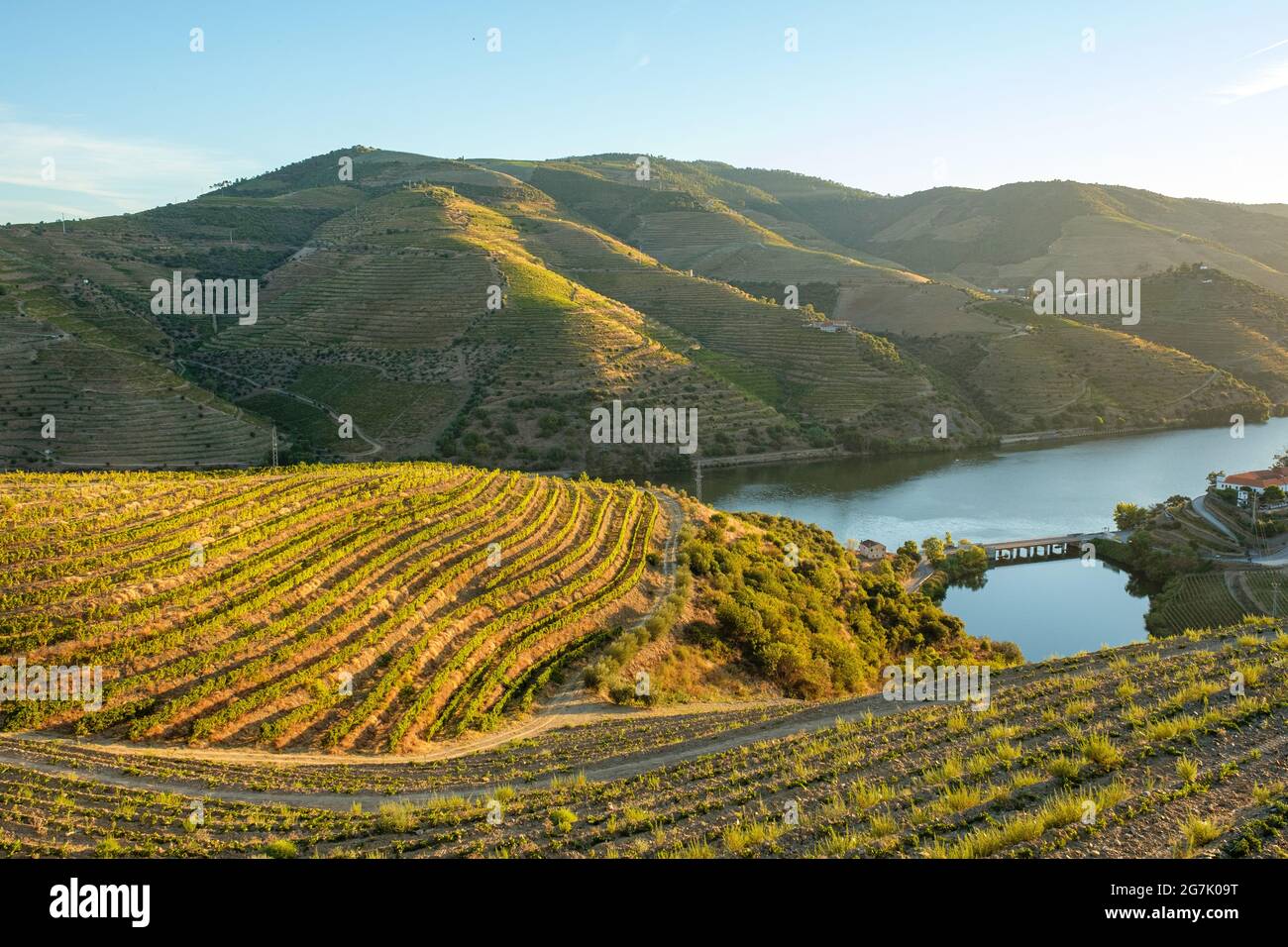 Paddy field terraces on the mountain slope under sunlight Stock Photo ...