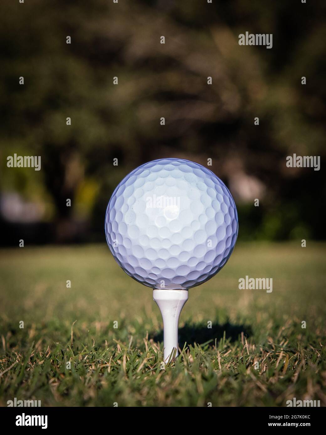 Vertical shot of a golf ball on a tee Stock Photo - Alamy