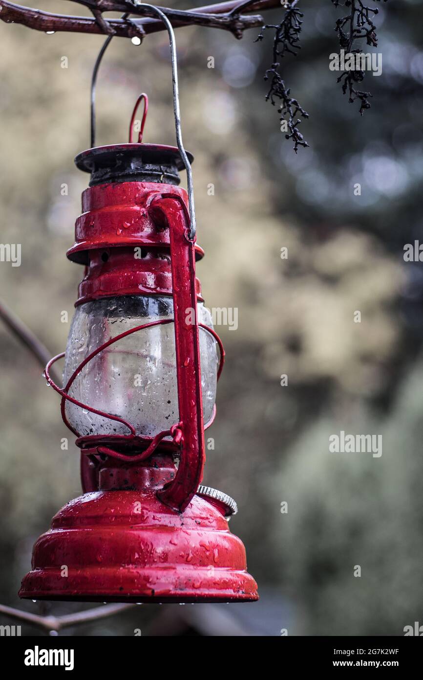 Vertical shot of an old red lantern hanging on a tree twig in the fore ...