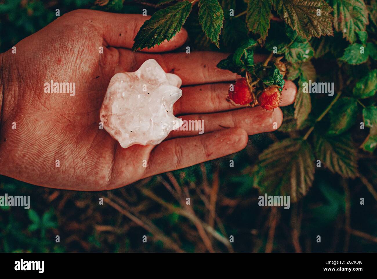 Top view of a hand holding an ice block Stock Photo - Alamy