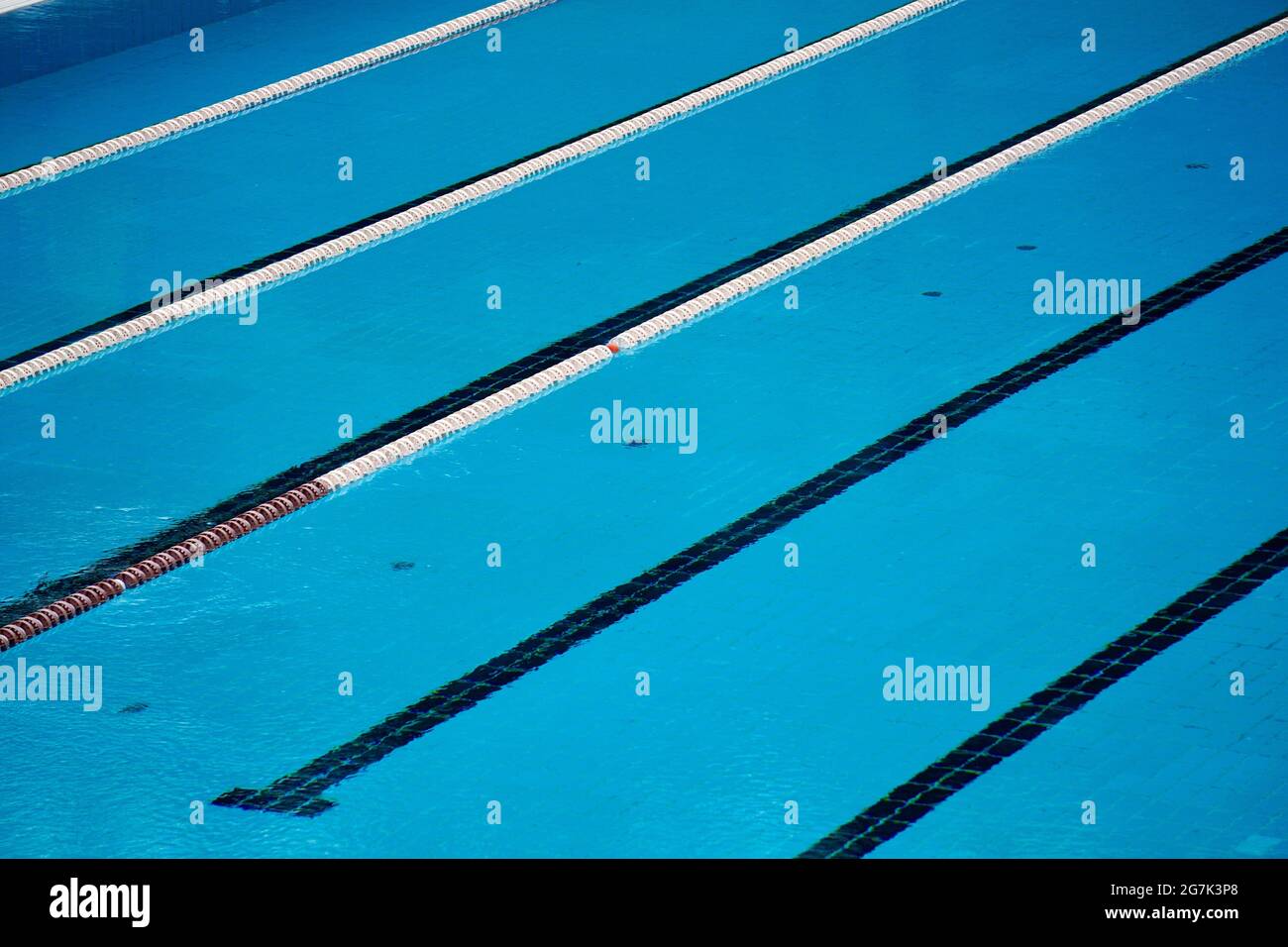 Lanes of a competition swimming pool Stock Photo - Alamy