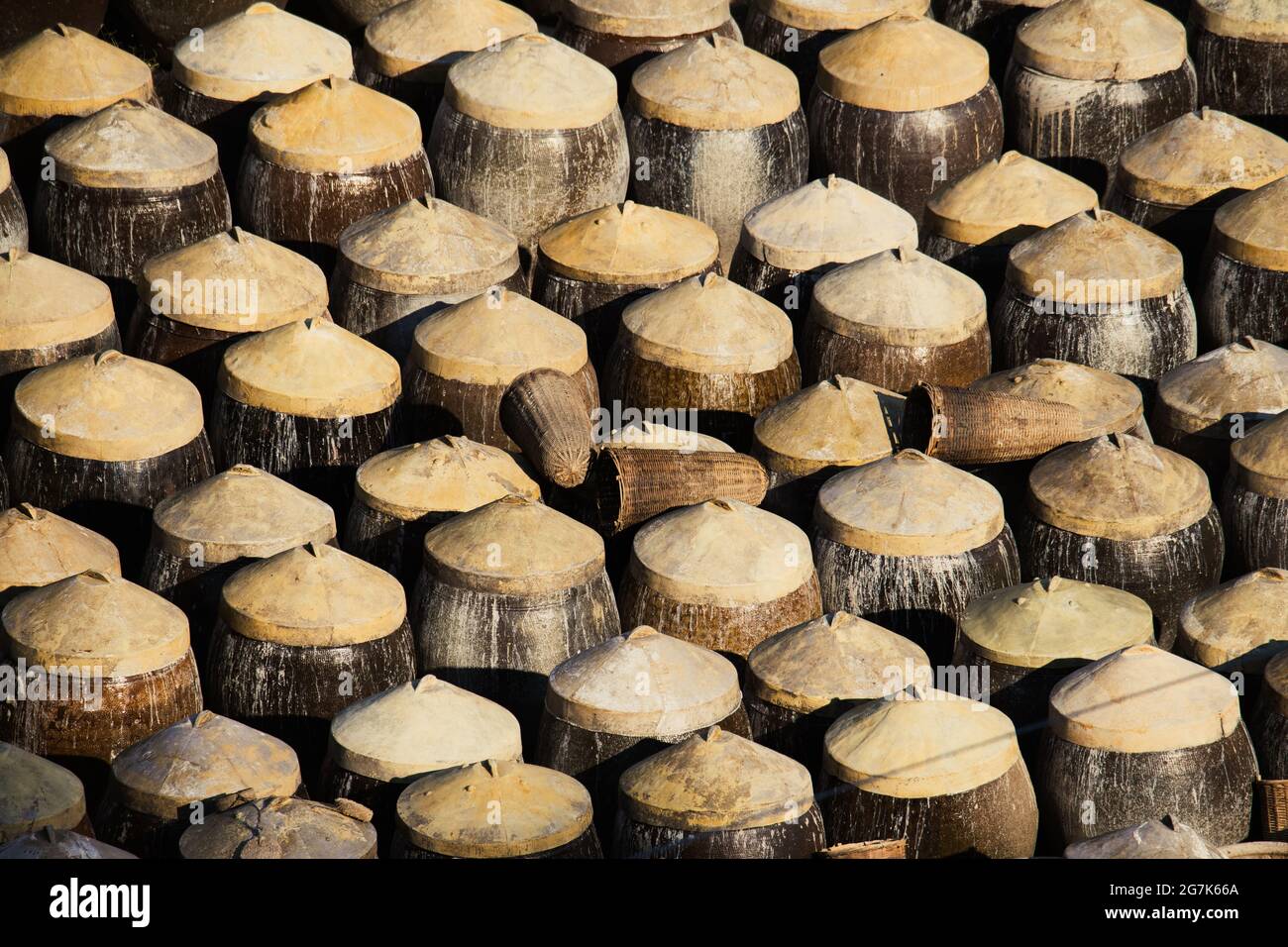 Huge jars filled with fermenting fish at a fish sauce factory in Xiapu ...