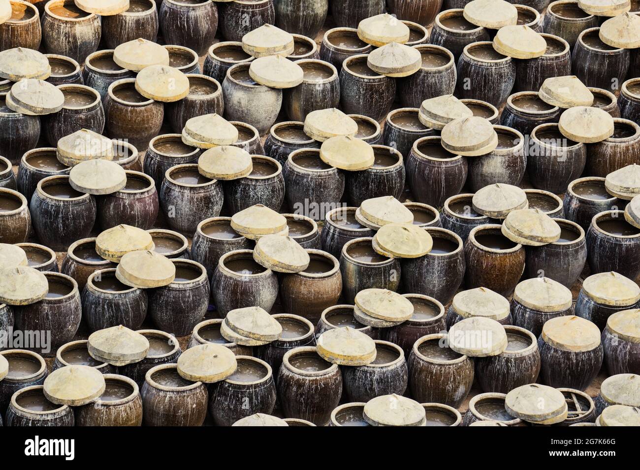 Huge jars filled with fermenting fish at a fish sauce factory in Xiapu ...