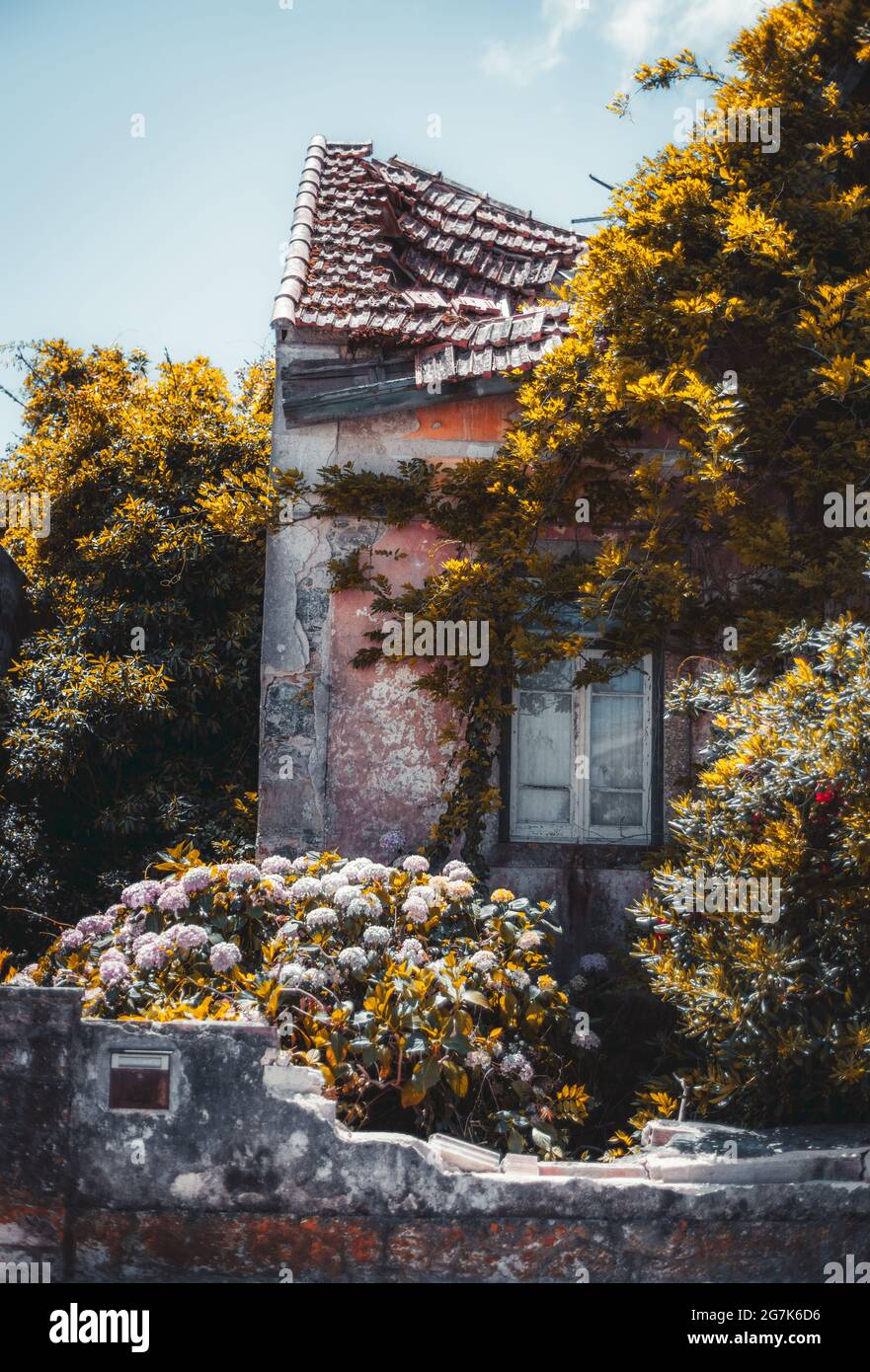 A vertical shot of a tumble-down old beautiful house facade with a pink ...