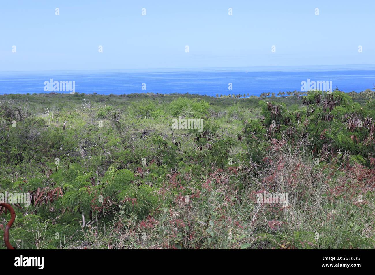 Landscape view of the tropical countryside on the Hawaiian Island of ...