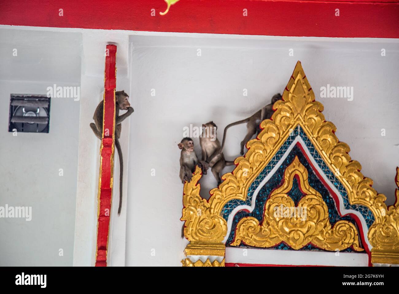 Aerial view of Wat Phra Phutthachai in Saraburi, Thailand Stock Photo ...