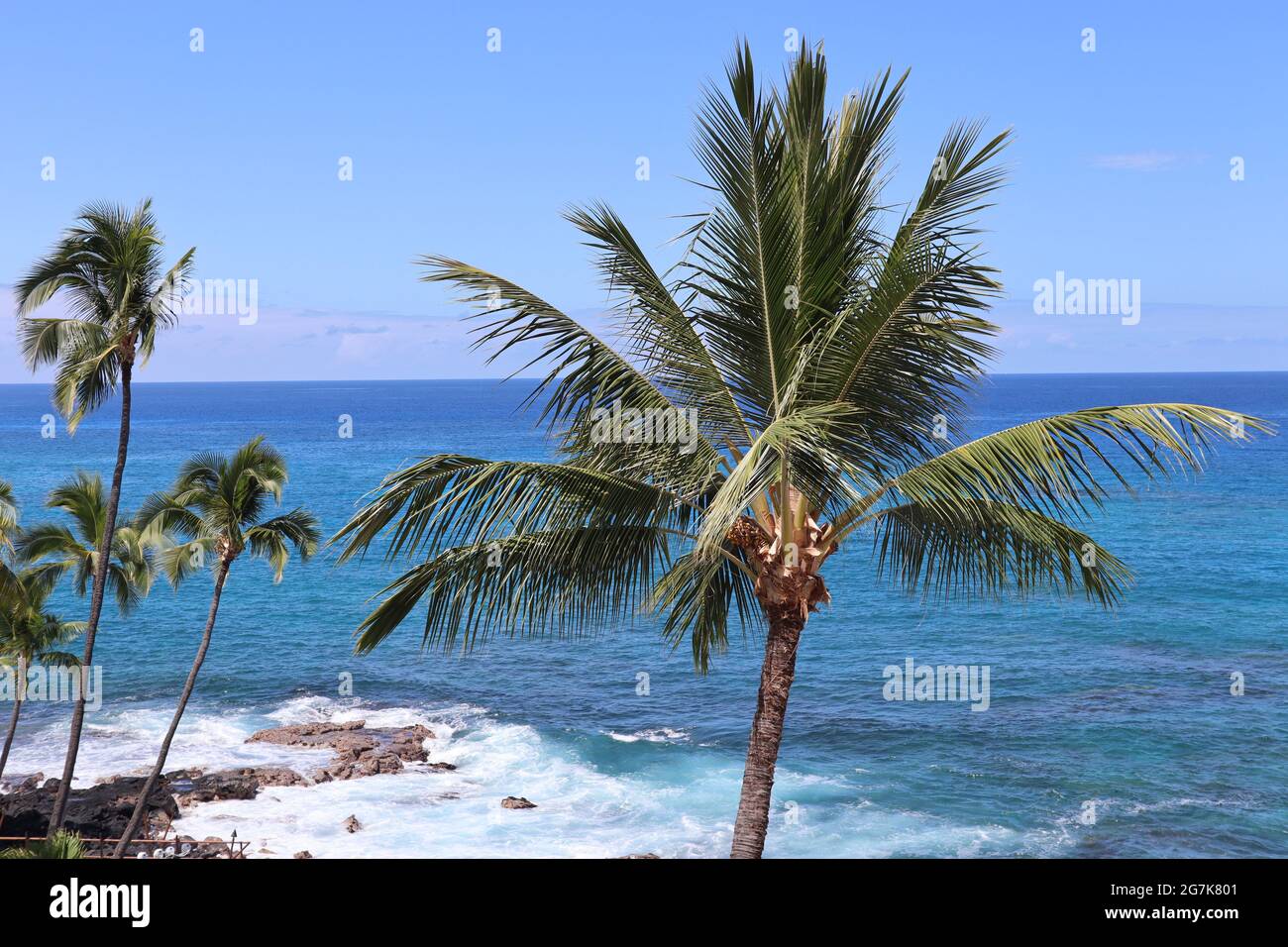 Beautiful landscape with palm trees with gorgeous Pacific Ocean waters ...
