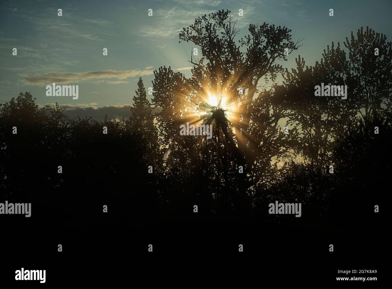 Peaceful sunrise behind tree hi-res stock photography and images - Alamy