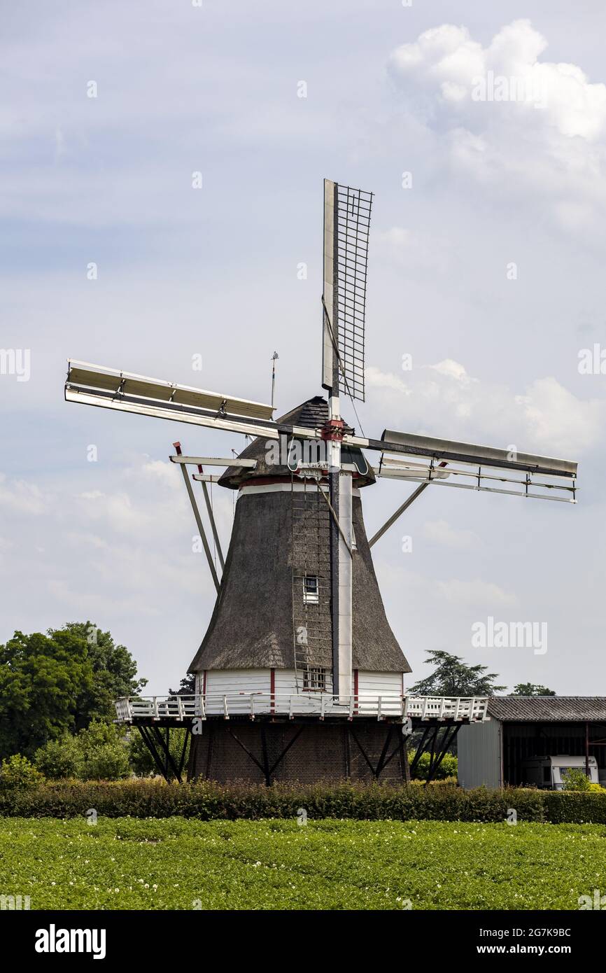 Windmill in The Netherlands sustainable energy concept Stock Photo - Alamy