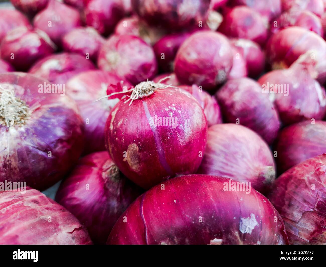 Rotten Onions High Resolution Stock Photography and Images - Alamy