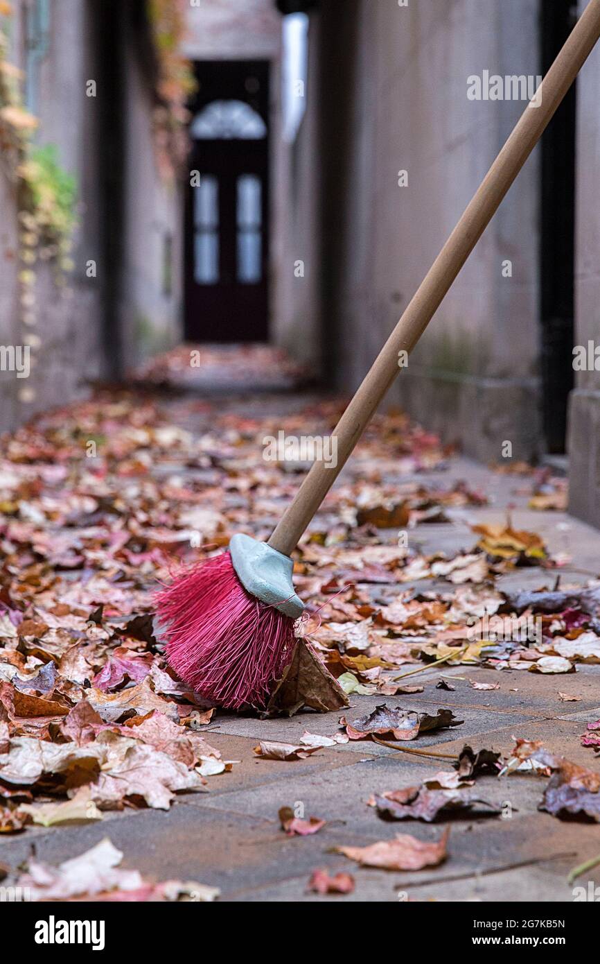 Pink Mess High Resolution Stock Photography and Images - Alamy