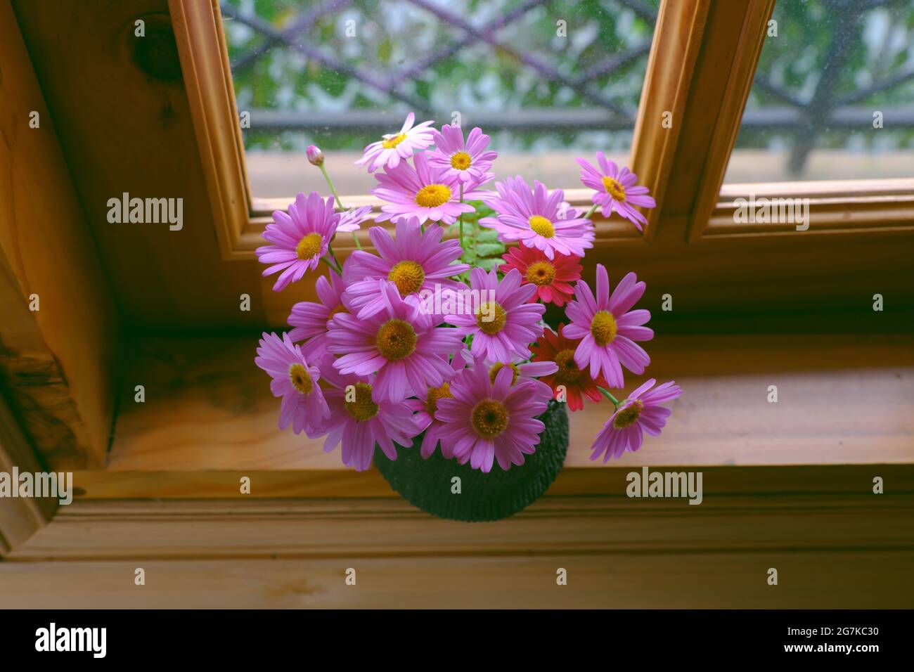 Pink window frame hi-res stock photography and images - Alamy