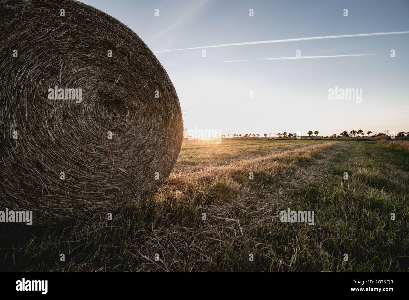 Closeup hay roll haystack hi-res stock photography and images - Alamy