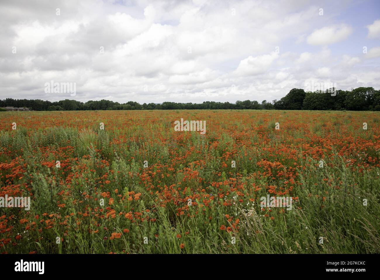 Henlow bedfordshire uk hi-res stock photography and images - Alamy