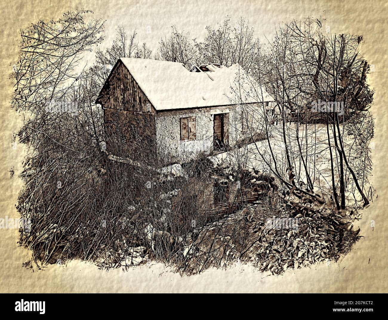 Beautiful Illustration of a tree in front of a building Stock Photo - Alamy