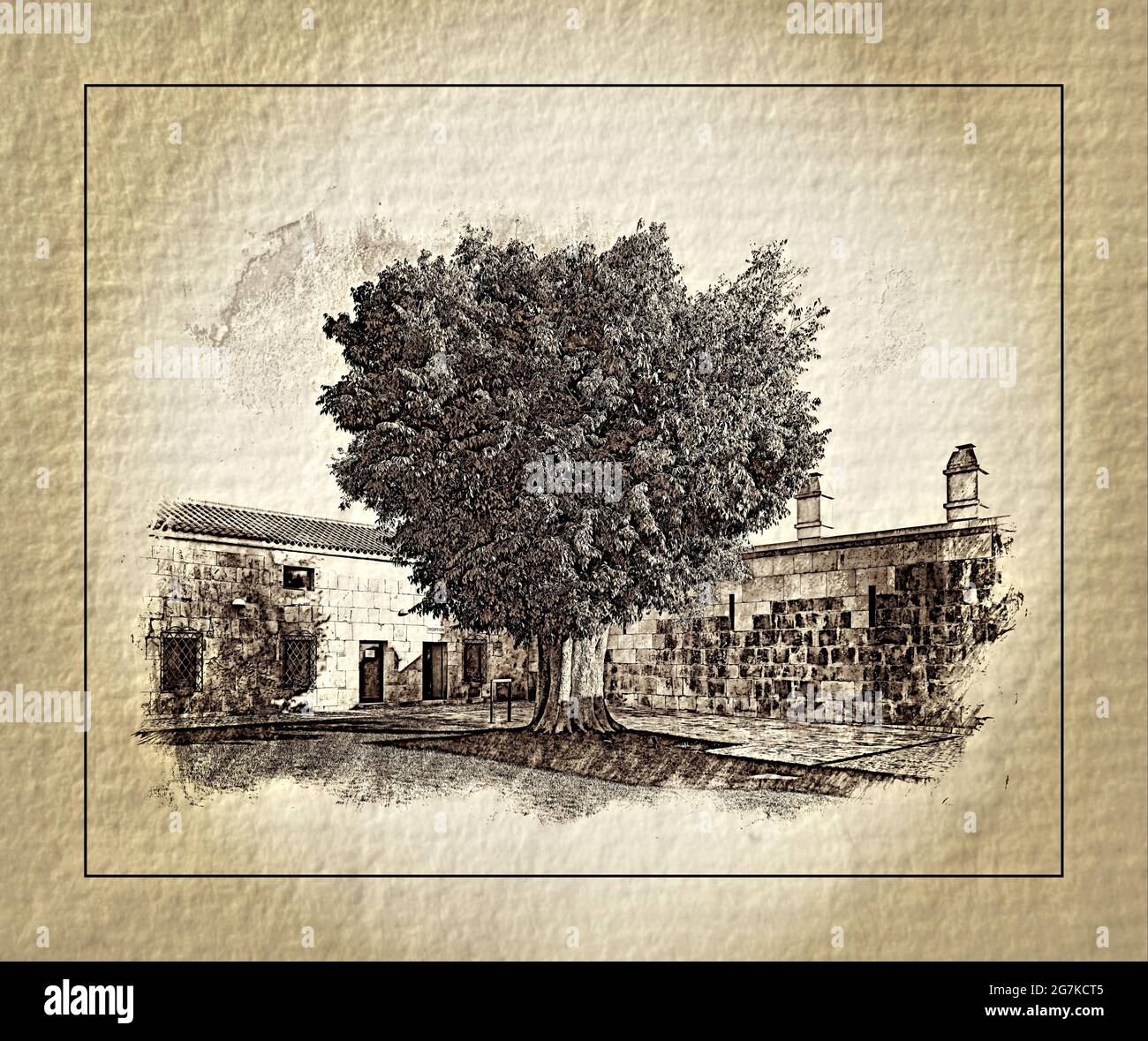 Beautiful Illustration of a tree in front of a building Stock Photo - Alamy