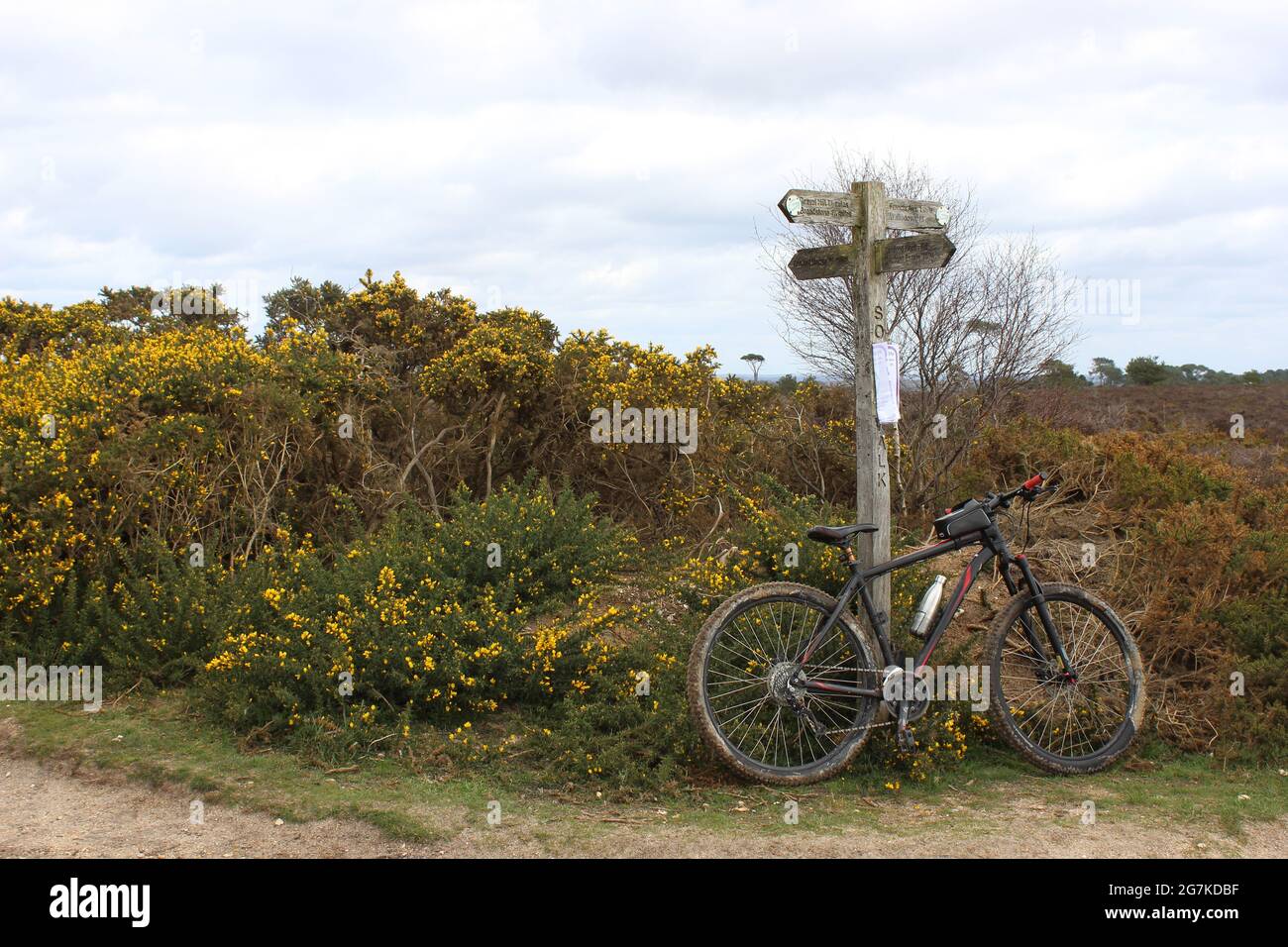 A mountain bike wooden sign on trail Stock Photo - Alamy