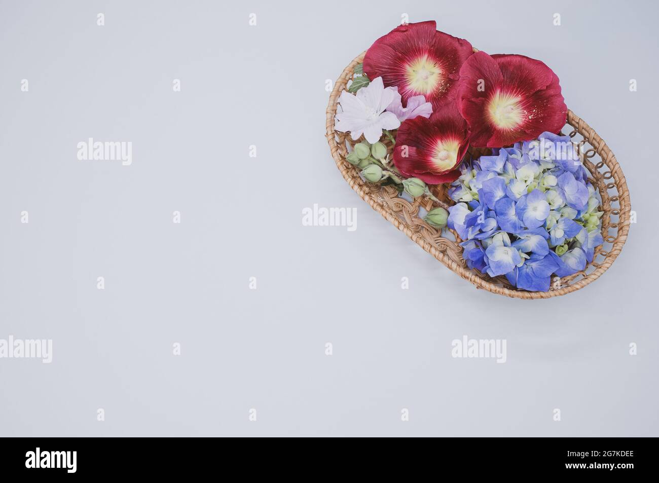 Top view of a basket with red malva, blue hydrangea, and other flowers ...