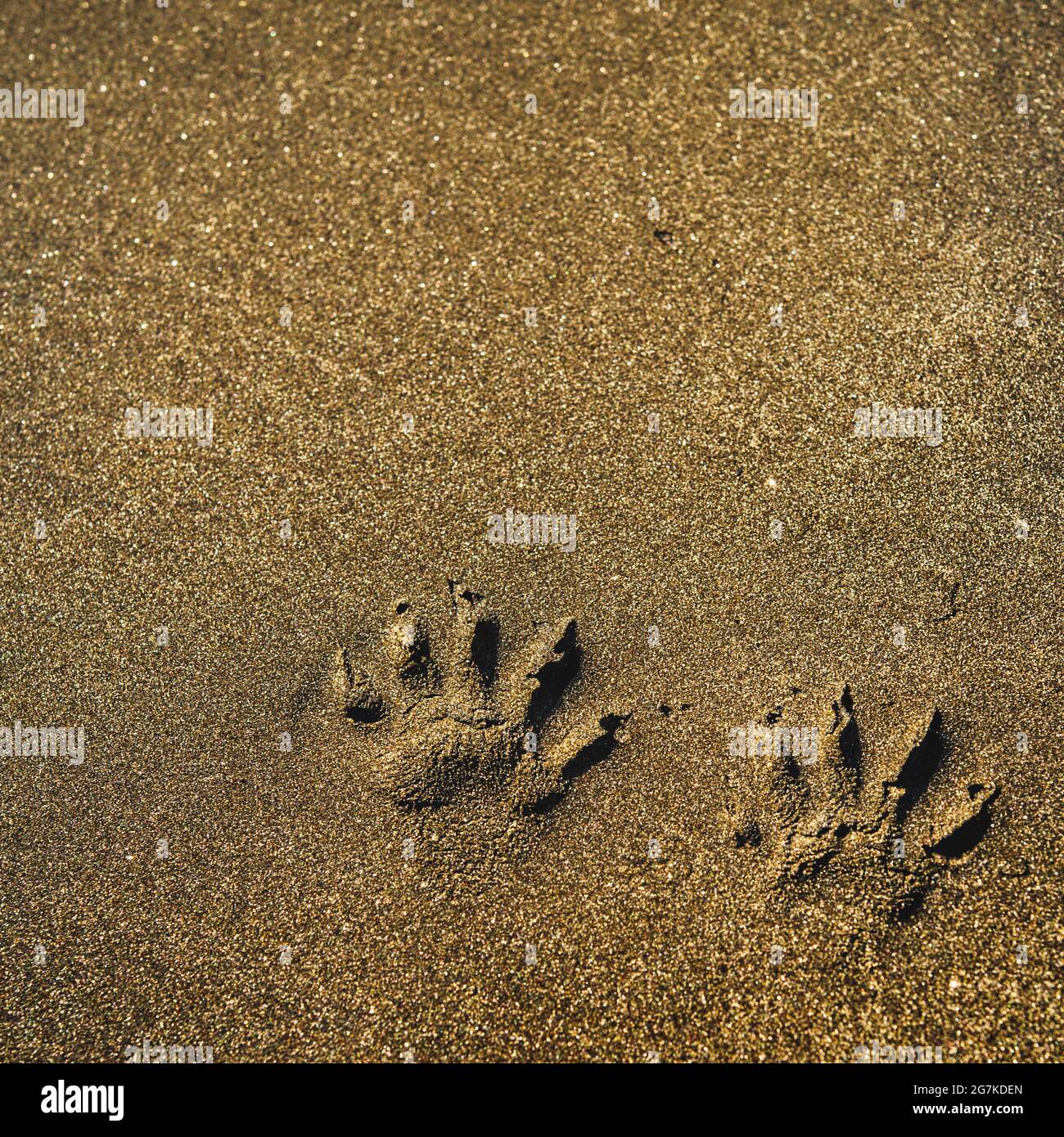 Mysterious footprints hi-res stock photography and images - Alamy