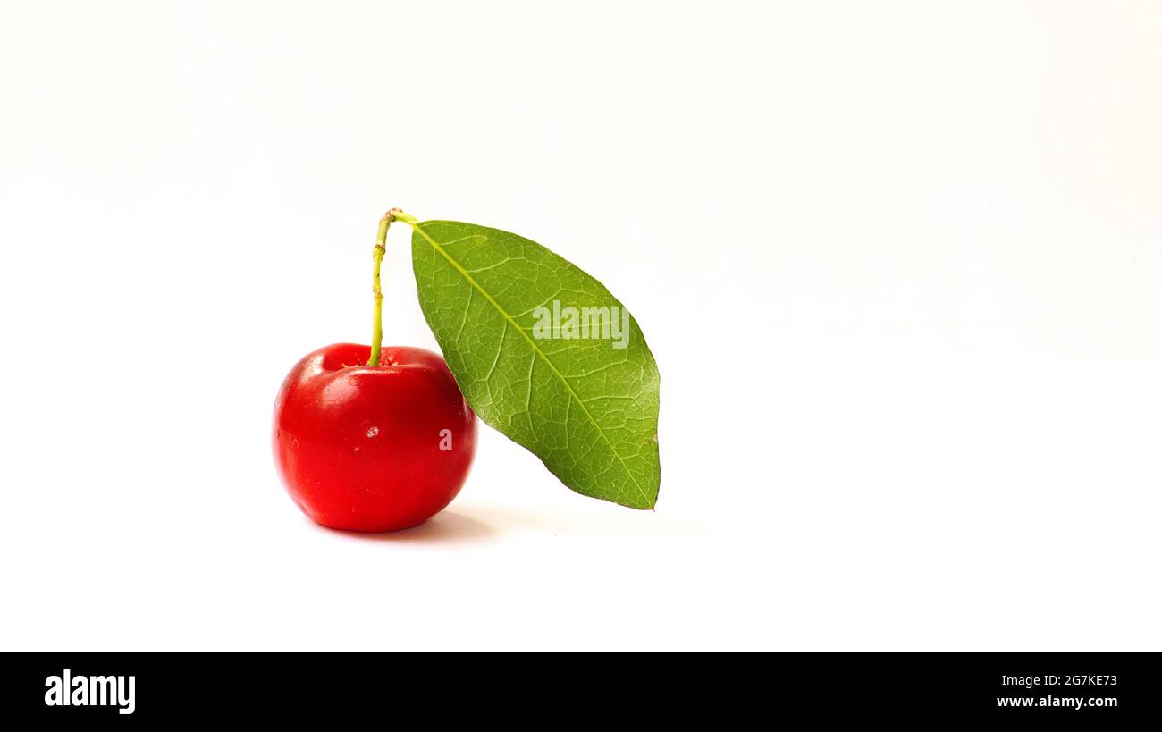 Single red cherry with a leaved stem isolated on a white background ...