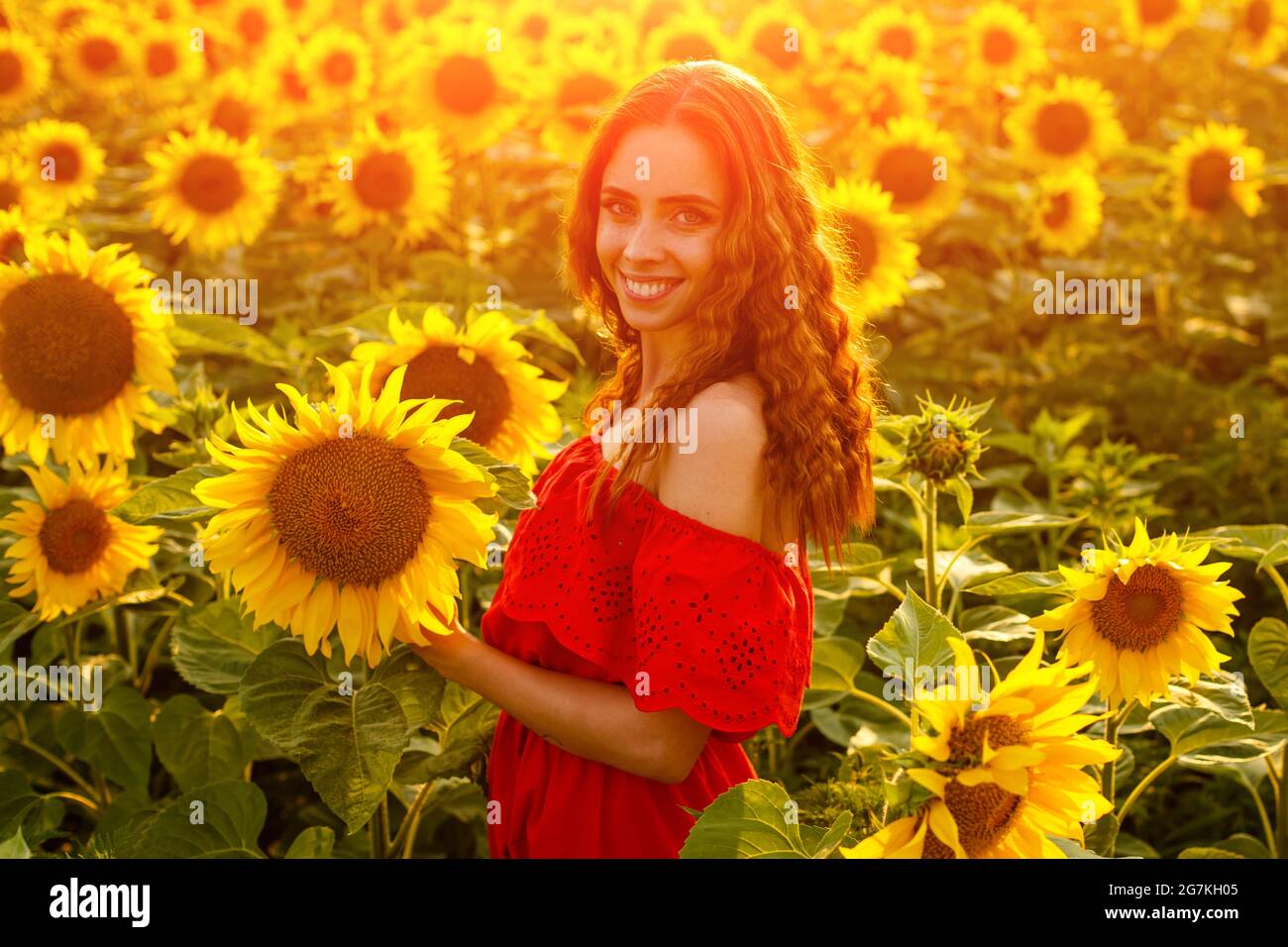 Female portrait of young woman in field of blooming sunflowers in rays ...