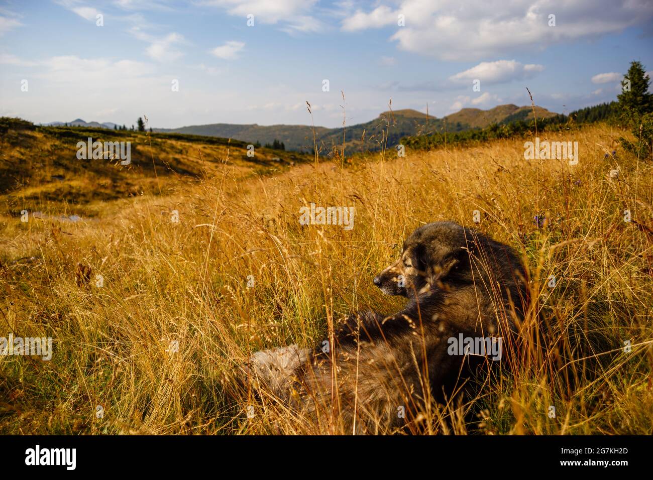 Tri cuke hi-res stock photography and images - Alamy
