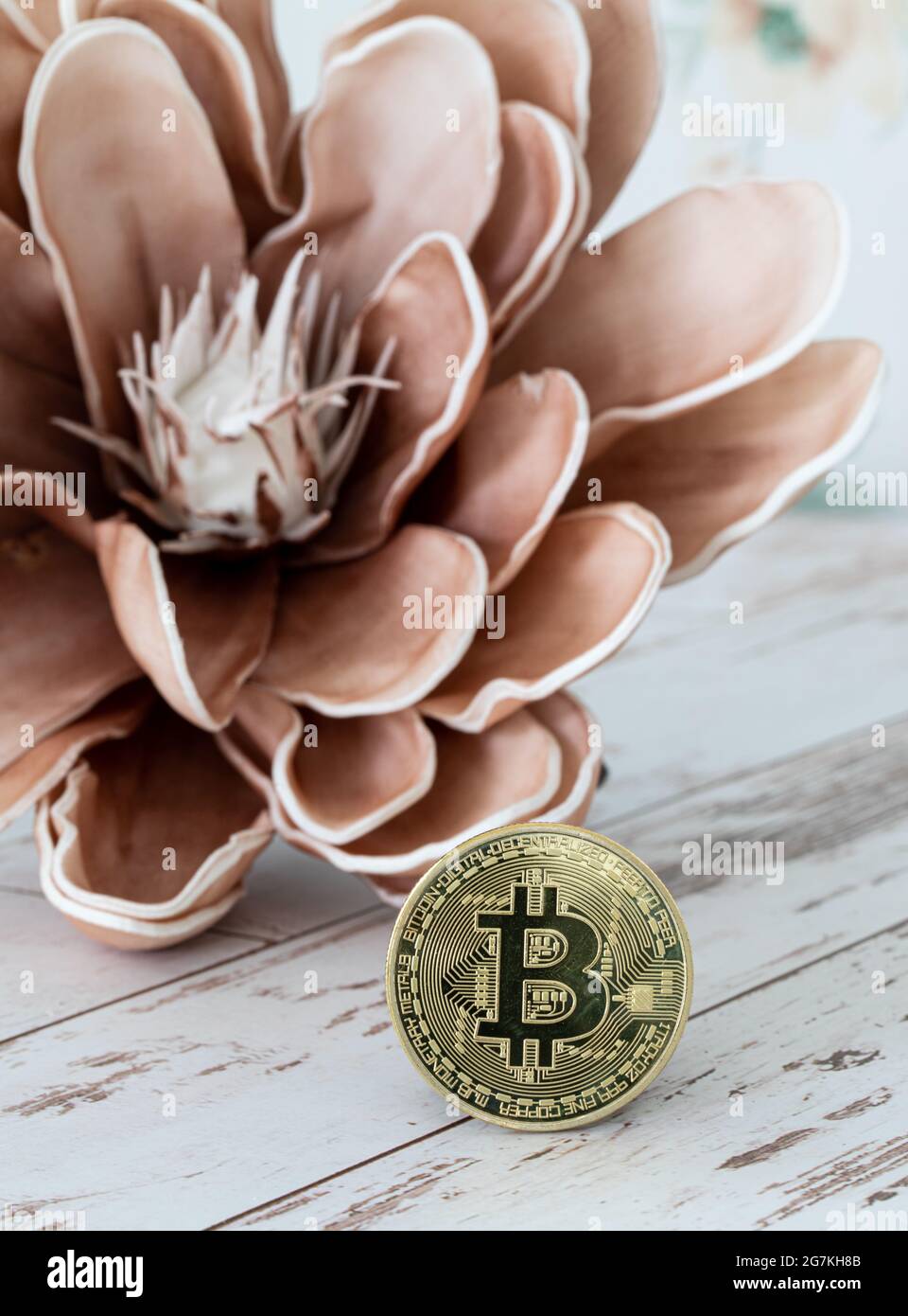 Coin flower hi-res stock photography and images - Alamy