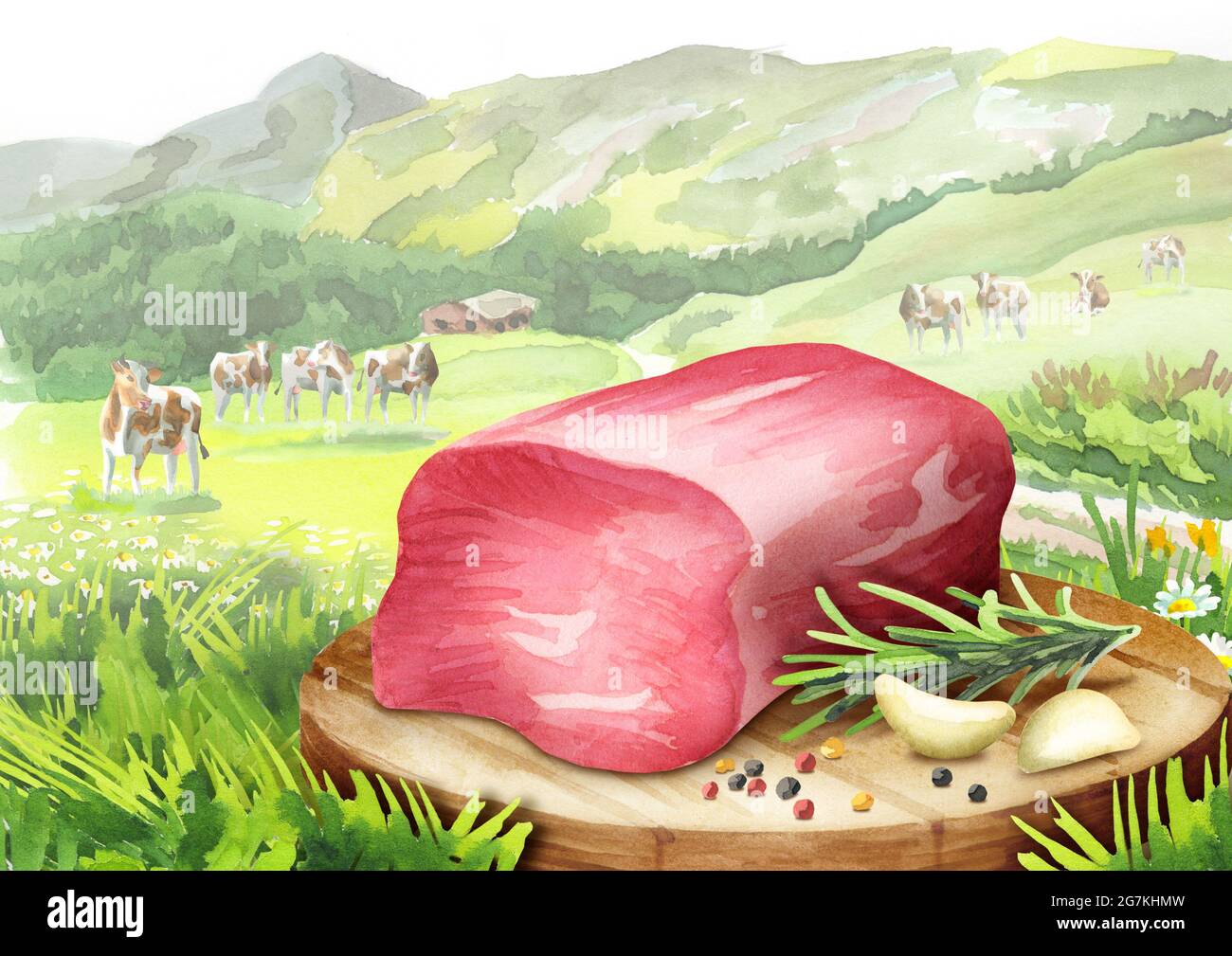 Raw beef fillet with rosemary, garlic and pepper on a plate in ...