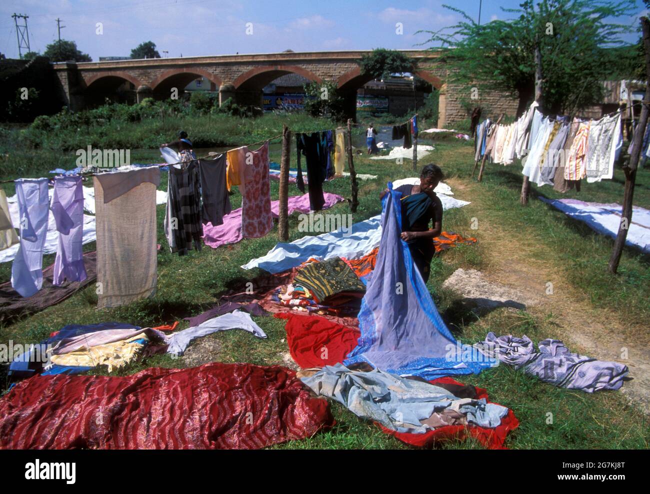 Village laundry laid outdoors to dry in South India Stock Photo - Alamy