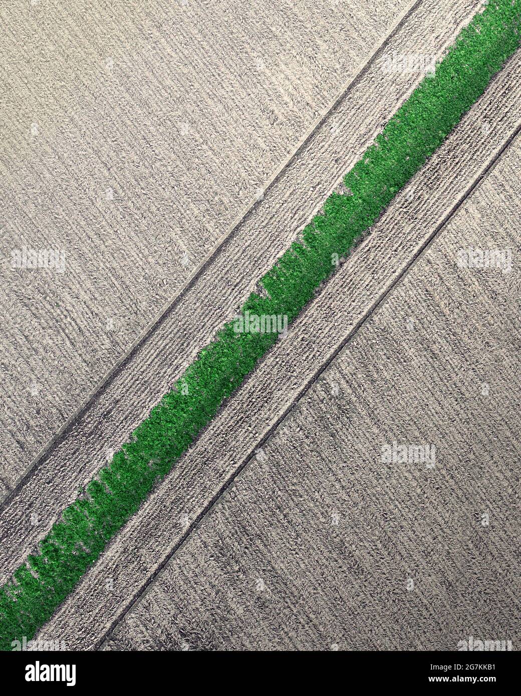 Vertical overhead shot of landscape with straight lines of gray and ...