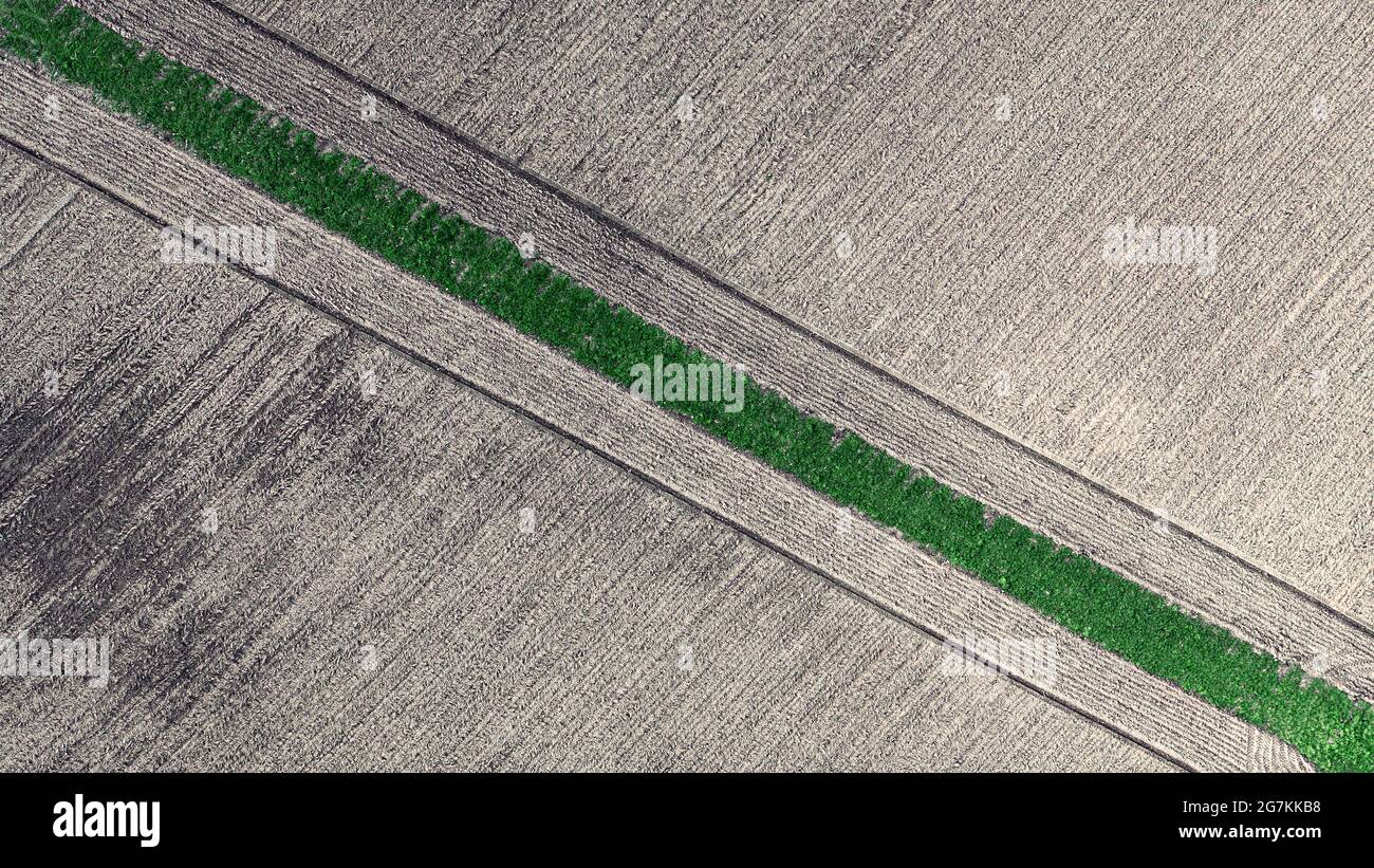 Overhead shot of landscape with straight lines of gray and green fields ...