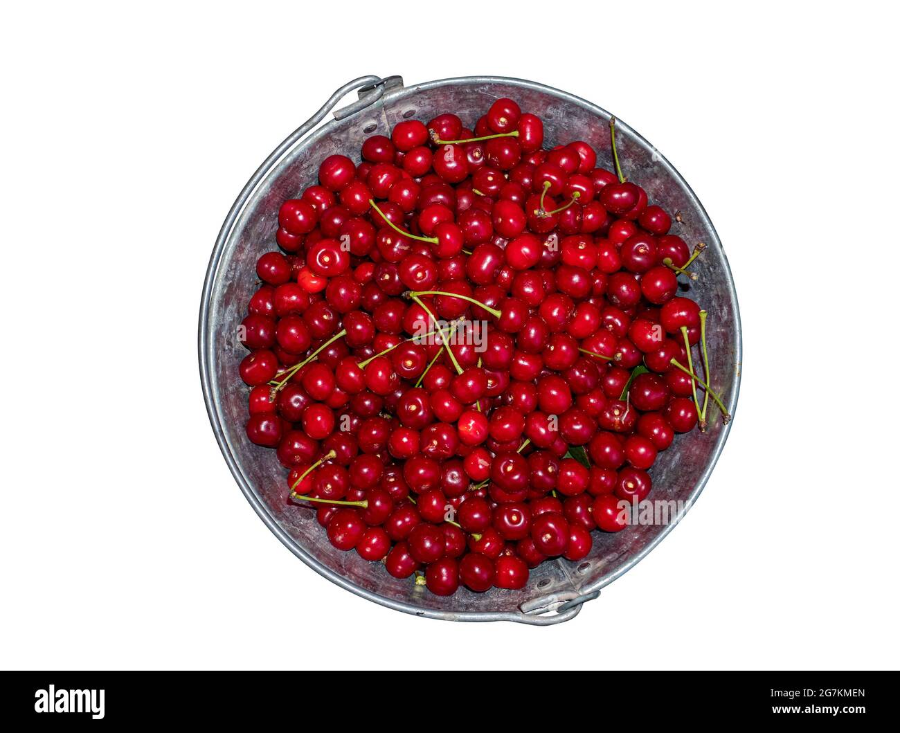 Harvest red cherries in an iron bucket Stock Photo - Alamy