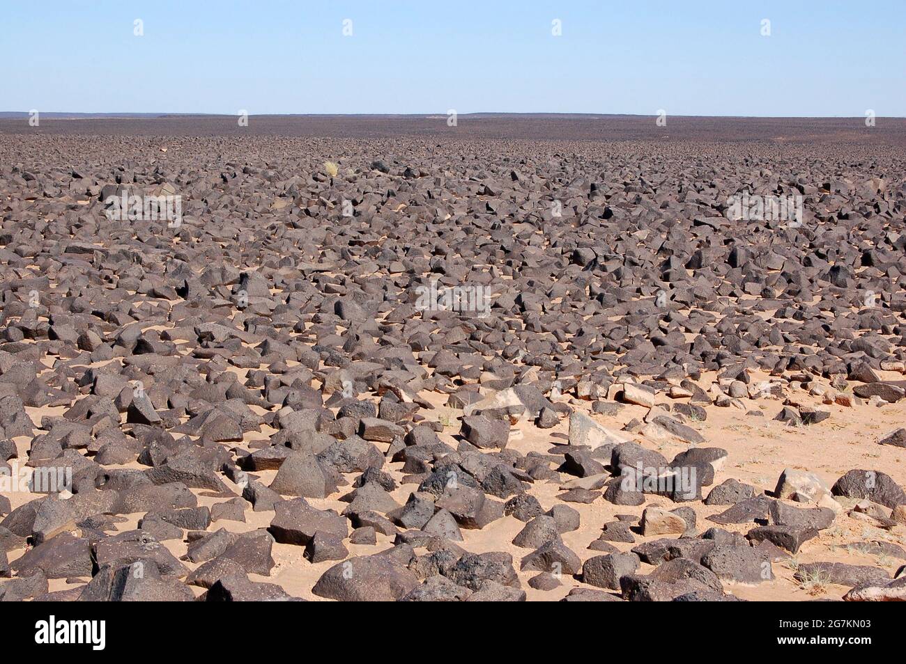 Landscape strewn with dark rocks in the Fezzan area of Libya on the ...