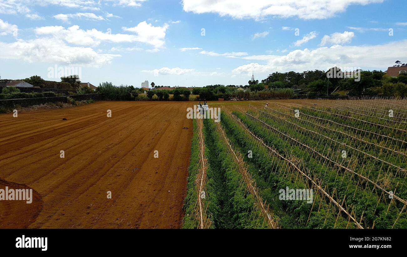 Shot of cultivated agricultural lands Stock Photo - Alamy