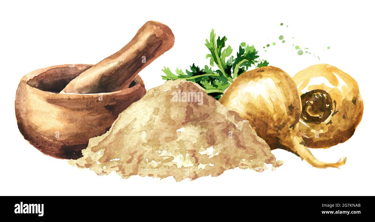 Maca root or Peruvian ginseng with powder and mortar, Organic vegetable ...