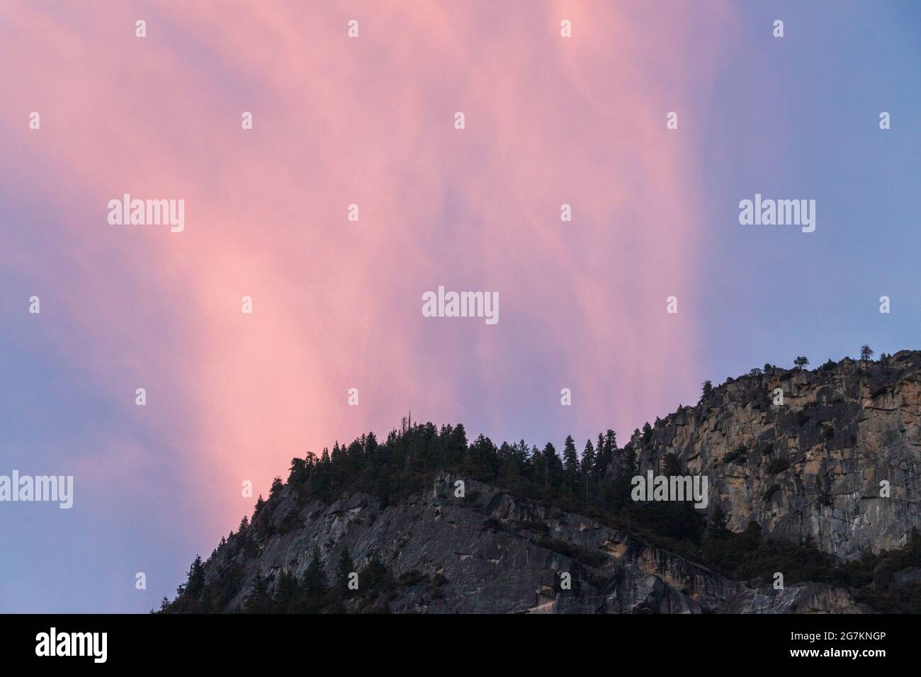 Low angle shot of tree-covered rocky cliffs under the pink sunset sky ...