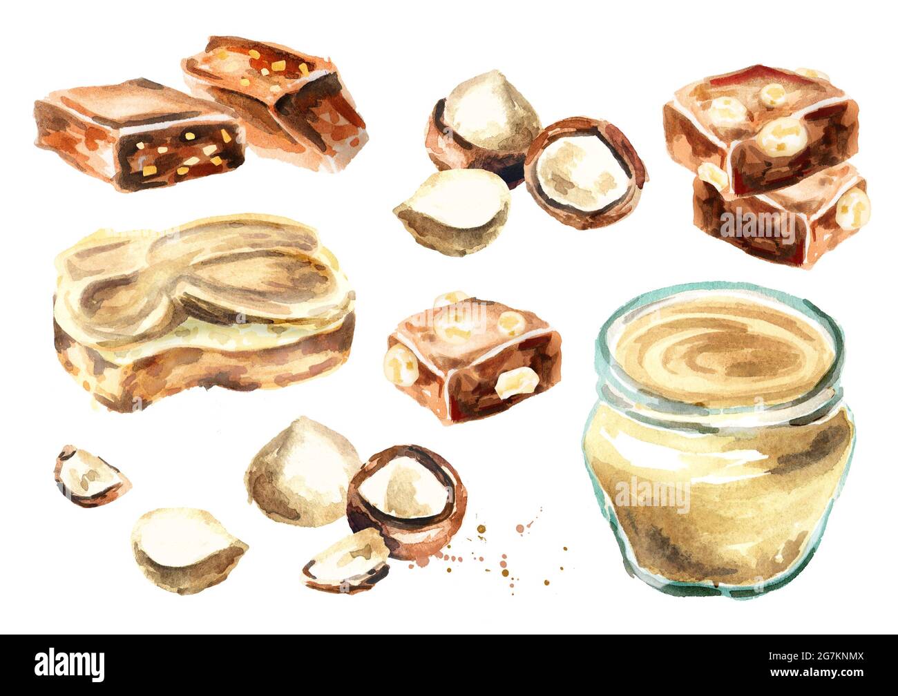 Macadamia sweets set with butter and chocolate. Watercolor hand drawn ...