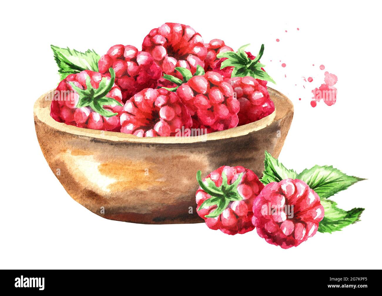 Raspberry Clipart Watercolor