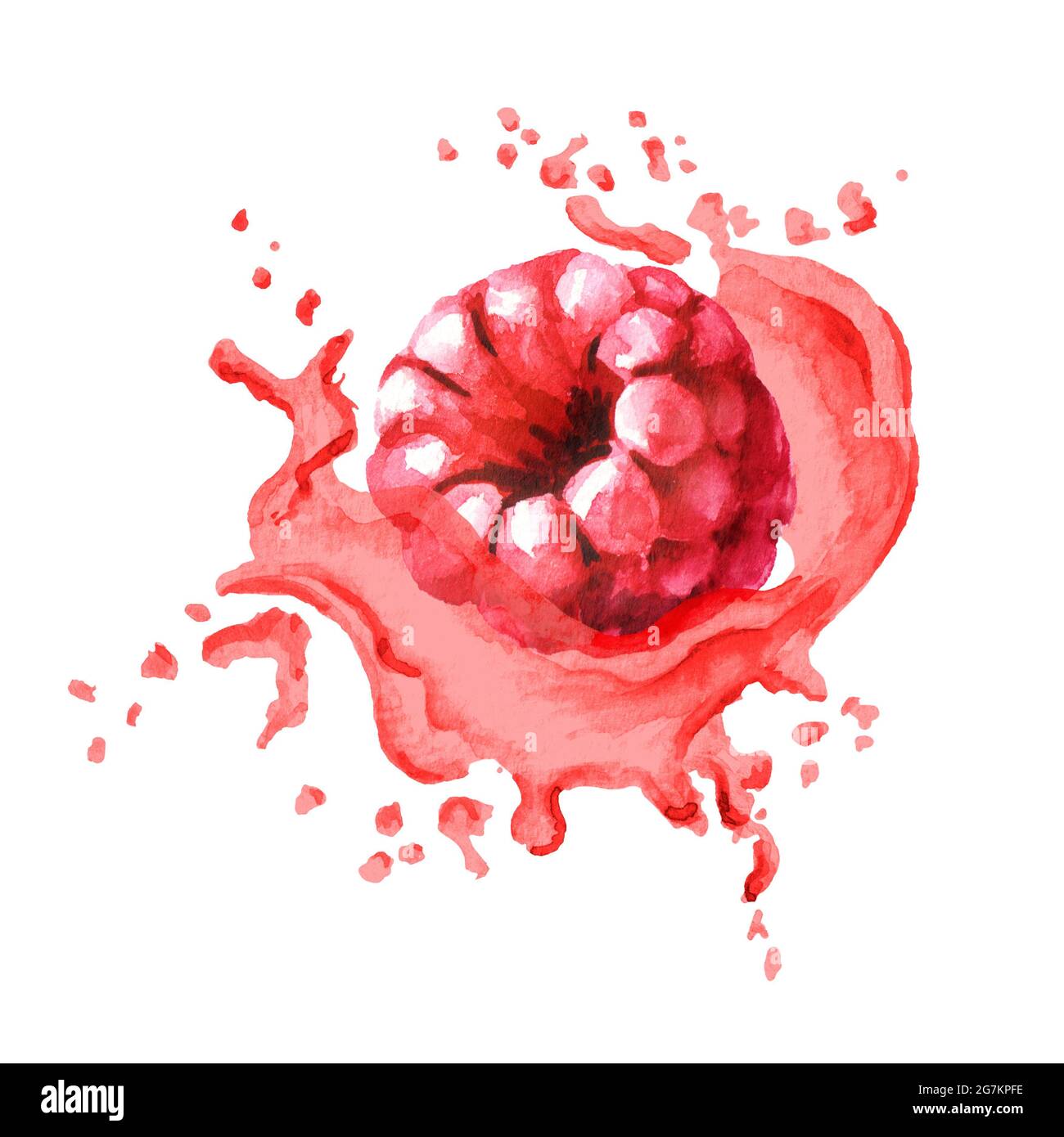 Fresh raspberry in splash of juice isolated on white background ...