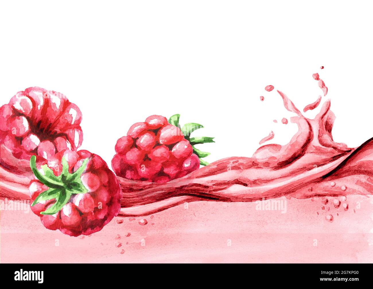Fresh raspberry on a wave of juice, watercolor hand drawn illustration ...