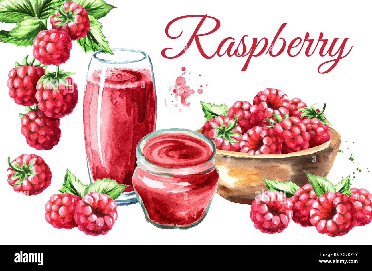 Ripe raspberry card. Watercolor hand drawn illustration, isolated on ...
