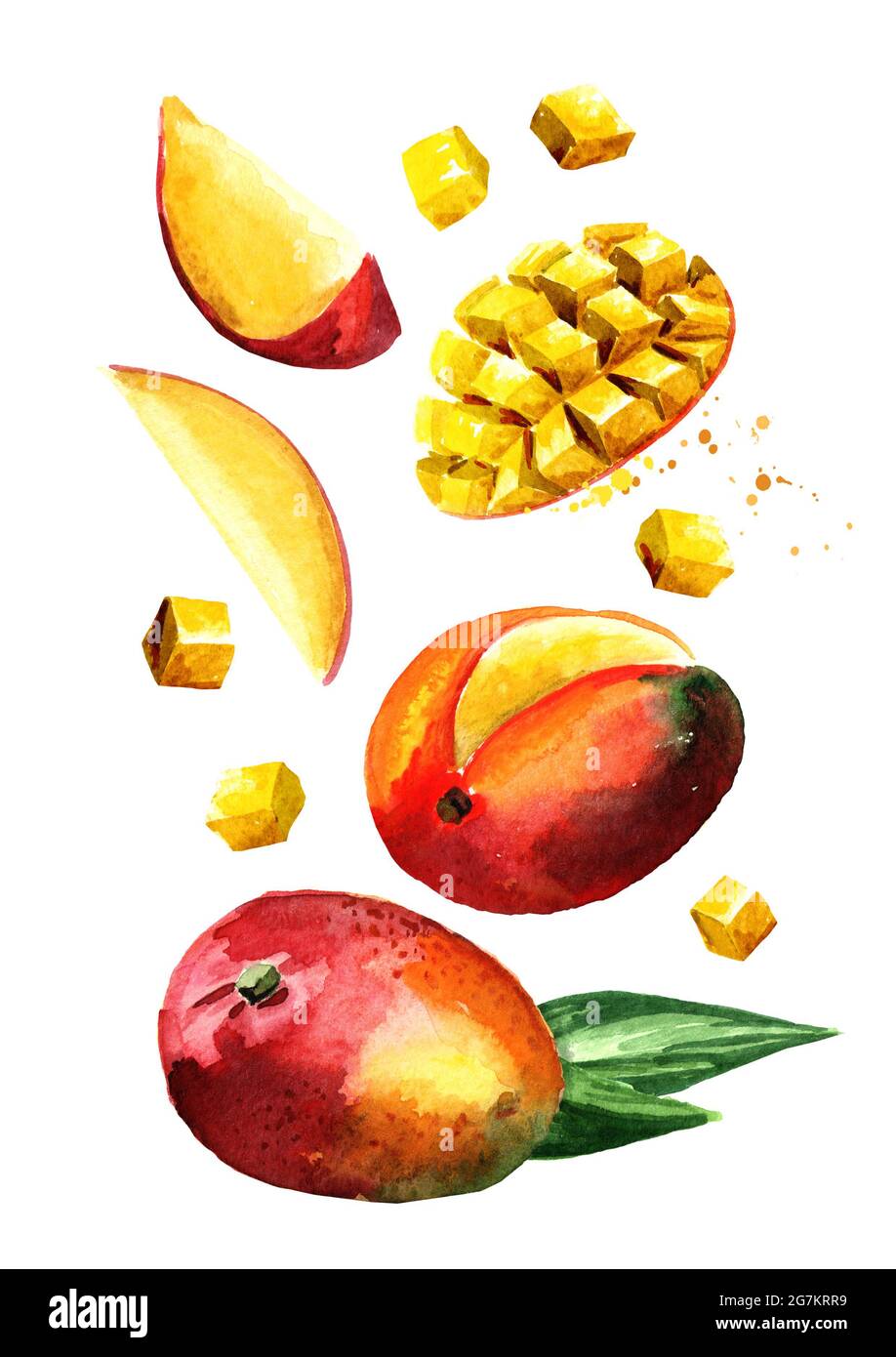 Flying Mango fruit with mango cubes, slices and leaves. Watercolor hand ...