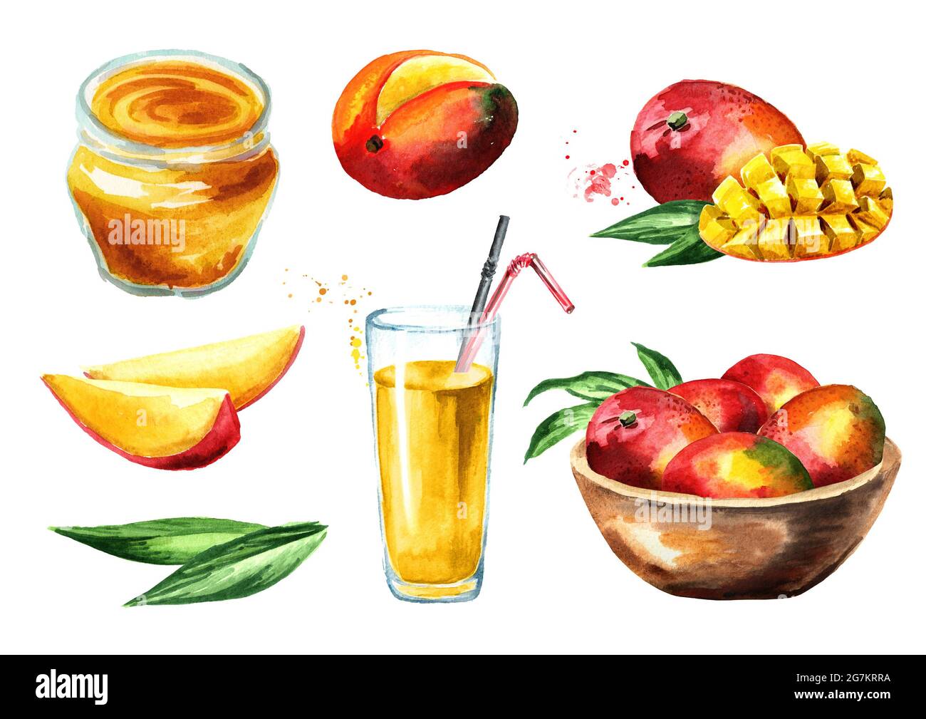 Mango composition set. Watercolor hand drawn illustration, isolated on ...